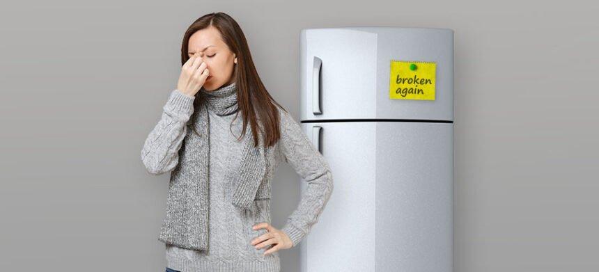 Troubleshooting Guide: Why Your Refrigerator Might Not Be Working | Mignato